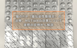 FIPの治療薬にはどんな種類がある？MUTIAN（ムティアン）やCFNの値段や副作用まとめ